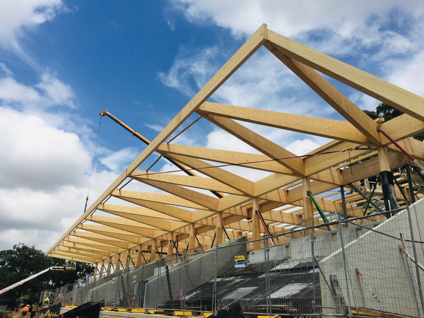 dwp|research: The New Age of Timber | dwp